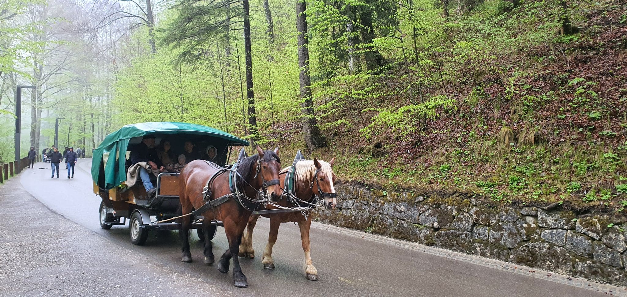 How to visit the German castle that inspired Disney, Neuschwanstein ...