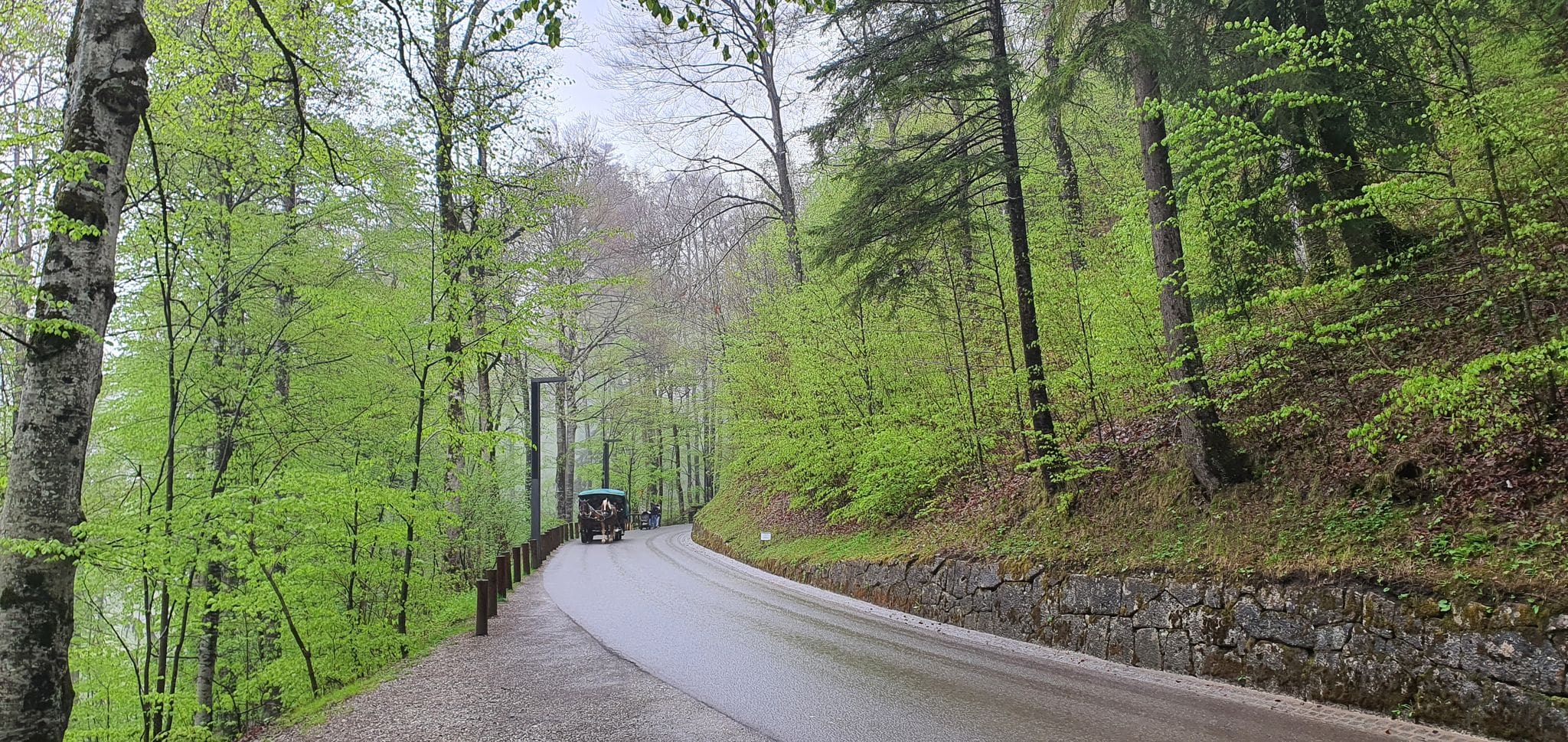 How to visit the German castle that inspired Disney, Neuschwanstein ...
