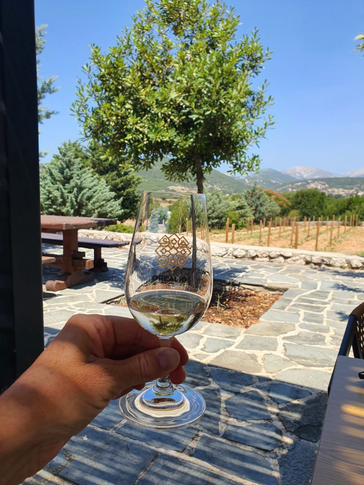 Wine Tasting on Kefalonia - Orealios Gaea - Vine Growers of Robola ...
