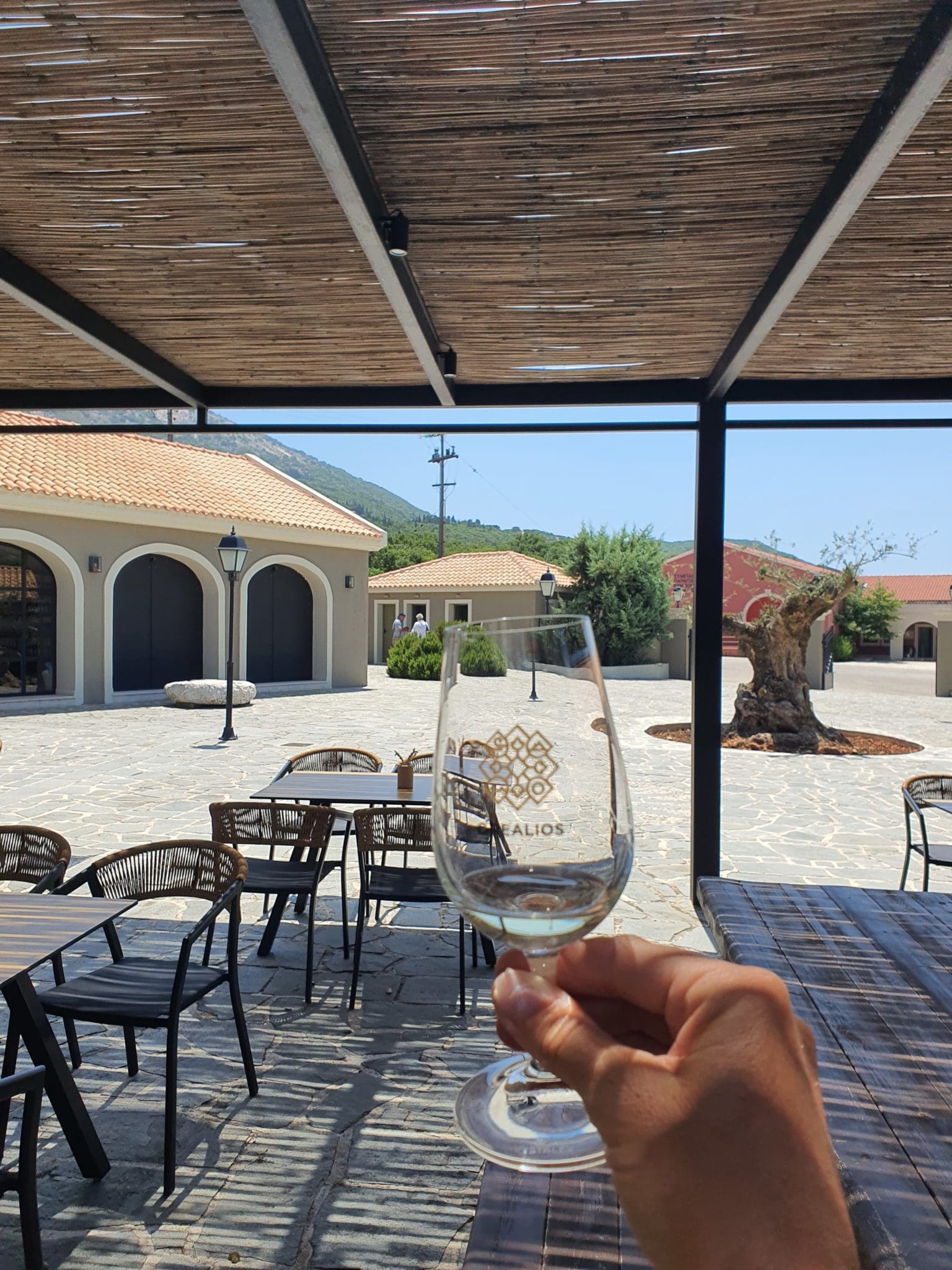 Wine Tasting on Kefalonia - Orealios Gaea - Vine Growers of Robola ...