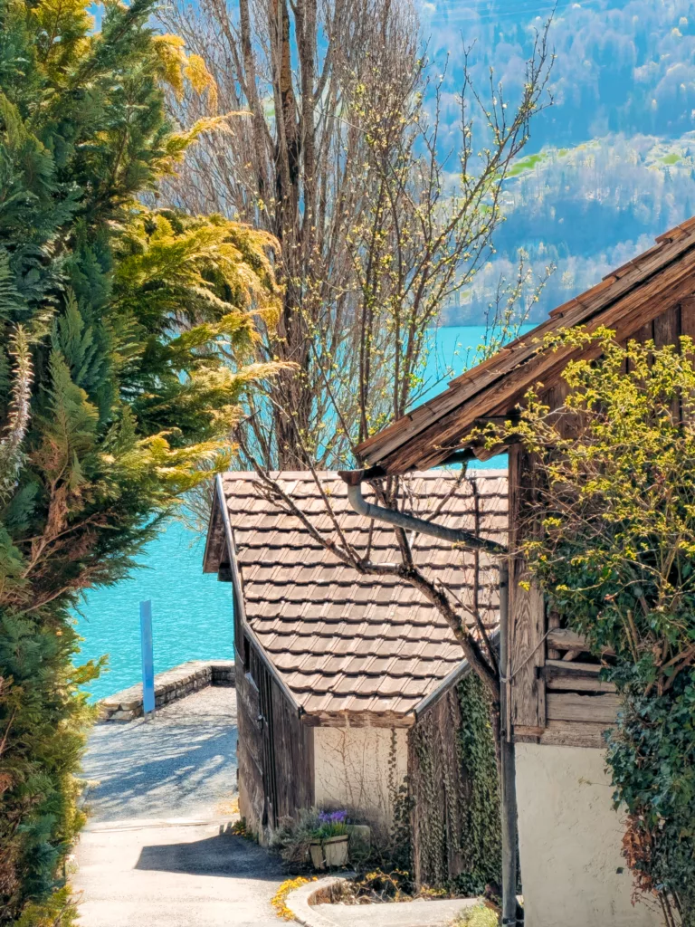 Lake Brienz boat cruise - Passport Nomads
