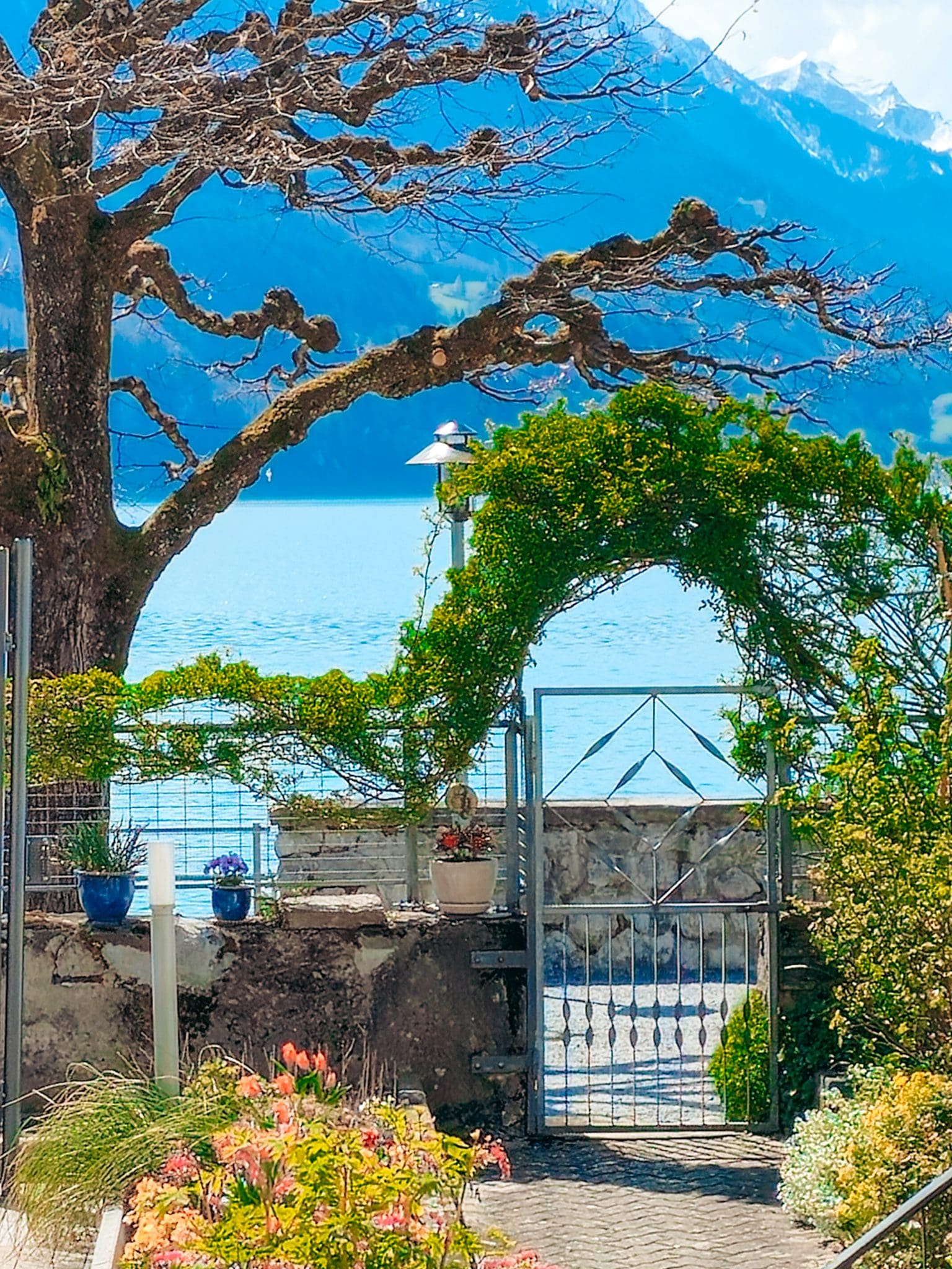 Lake Brienz boat cruise - Passport Nomads