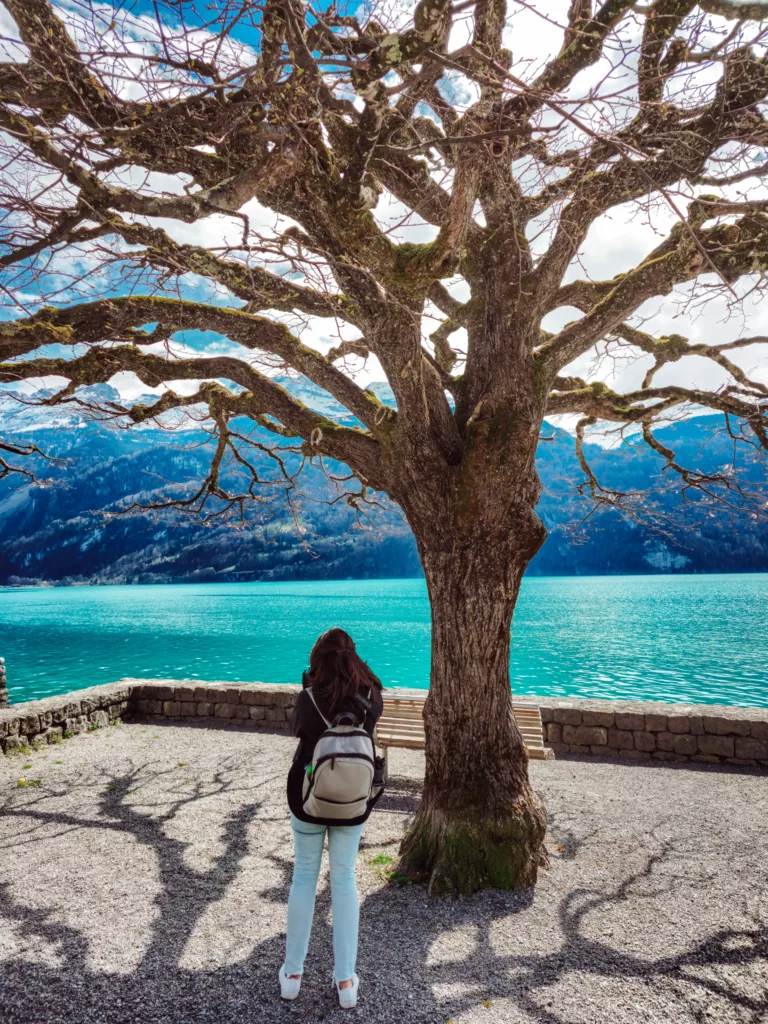 Lake Brienz boat cruise - Passport Nomads