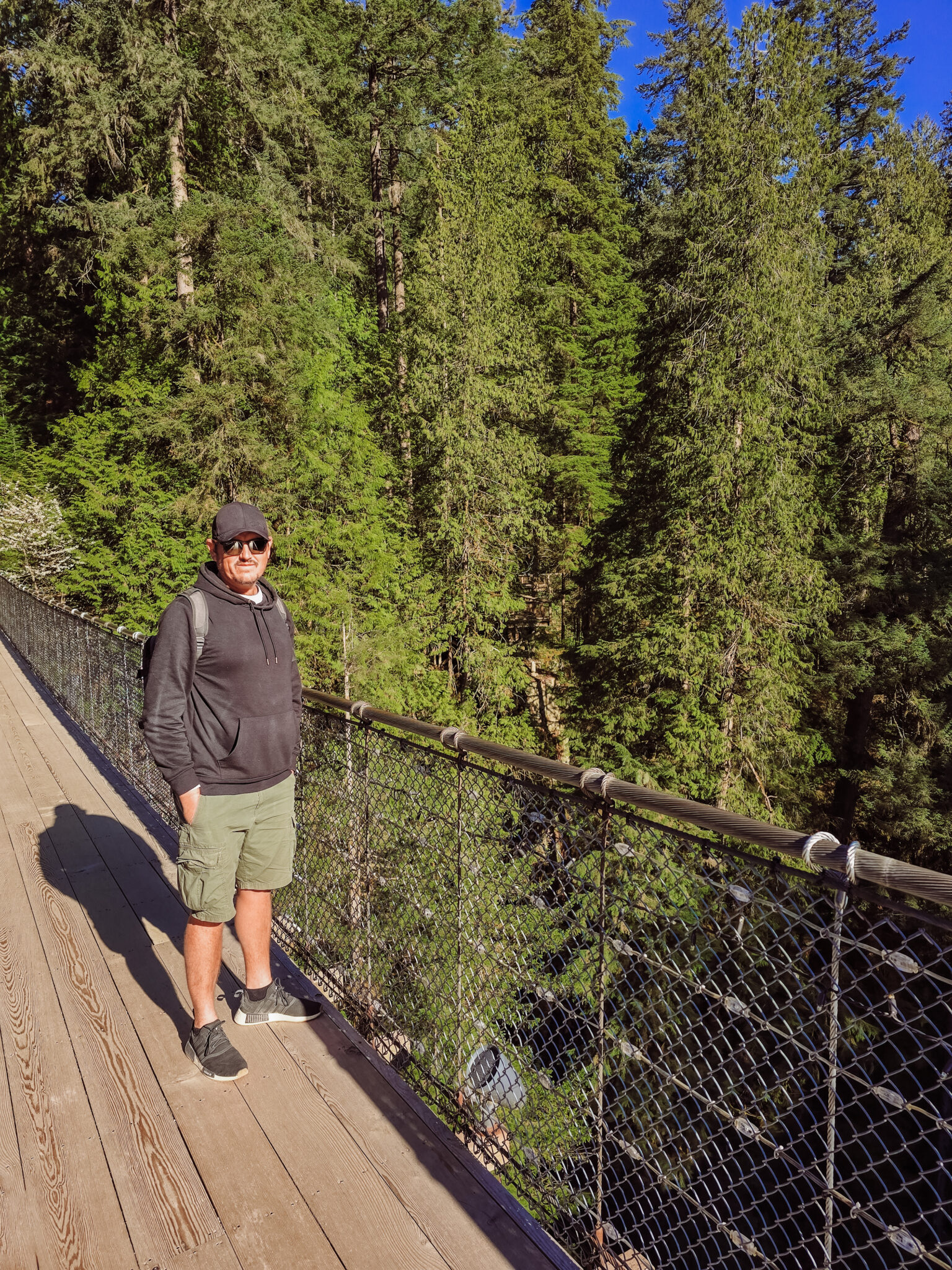 Capilano Suspension Bridge - Passport Nomads