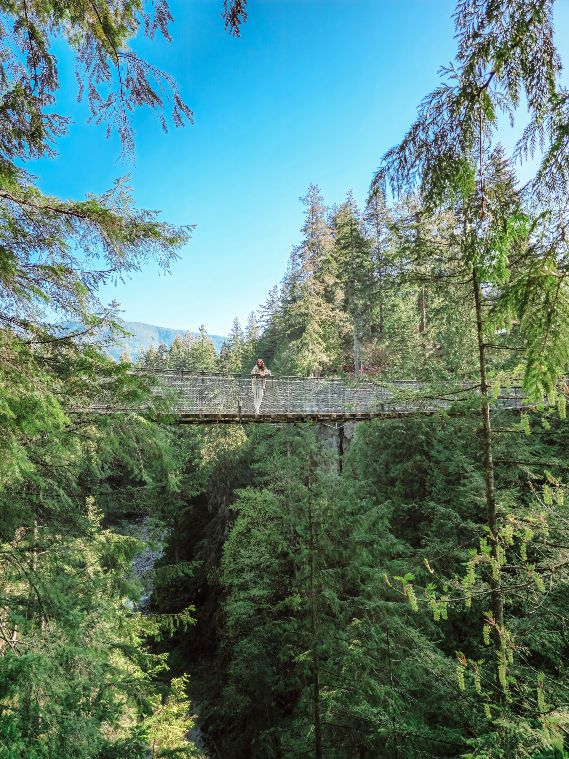 Capilano Suspension Bridge - Passport Nomads