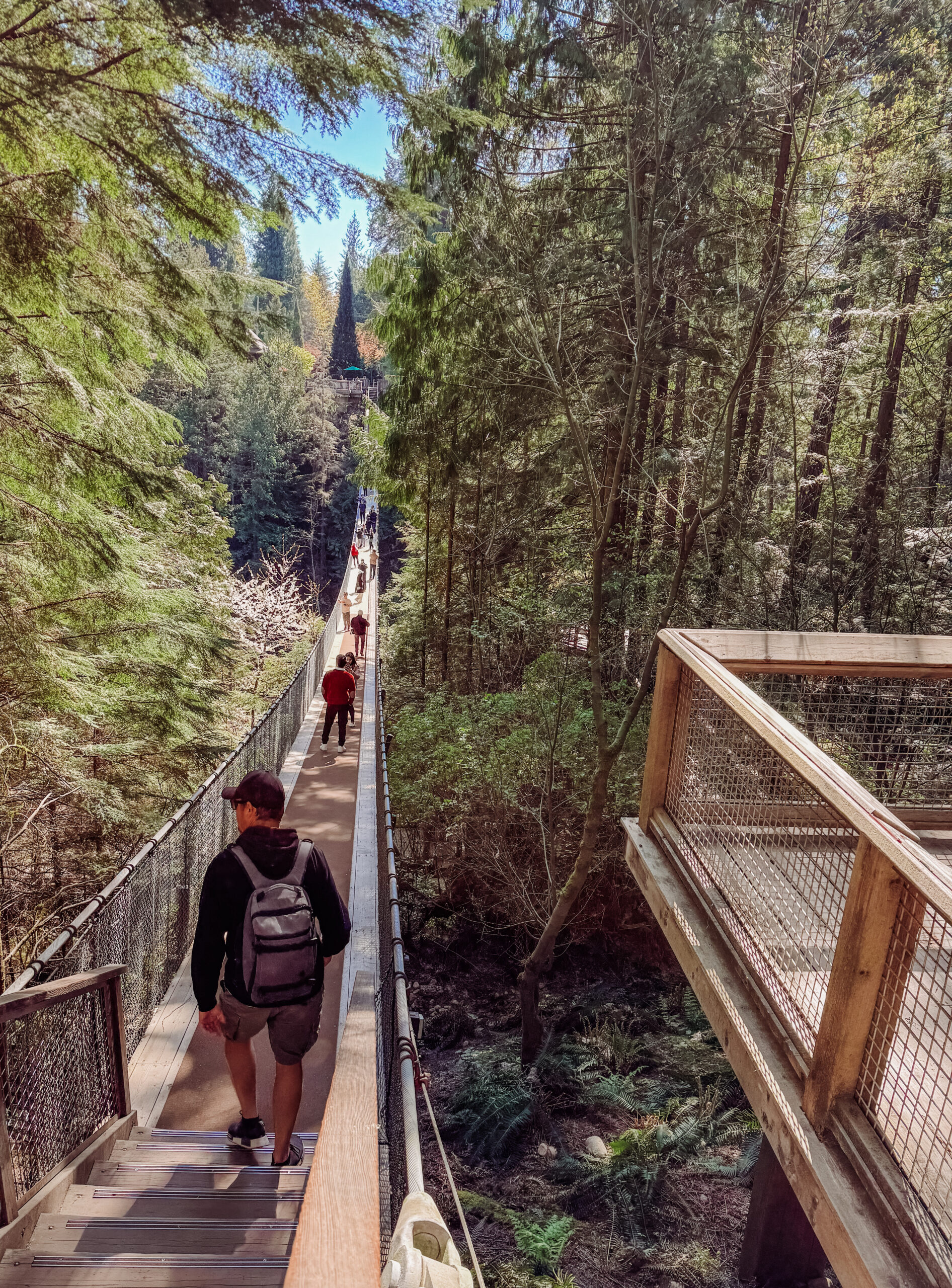 Capilano Suspension Bridge - Passport Nomads
