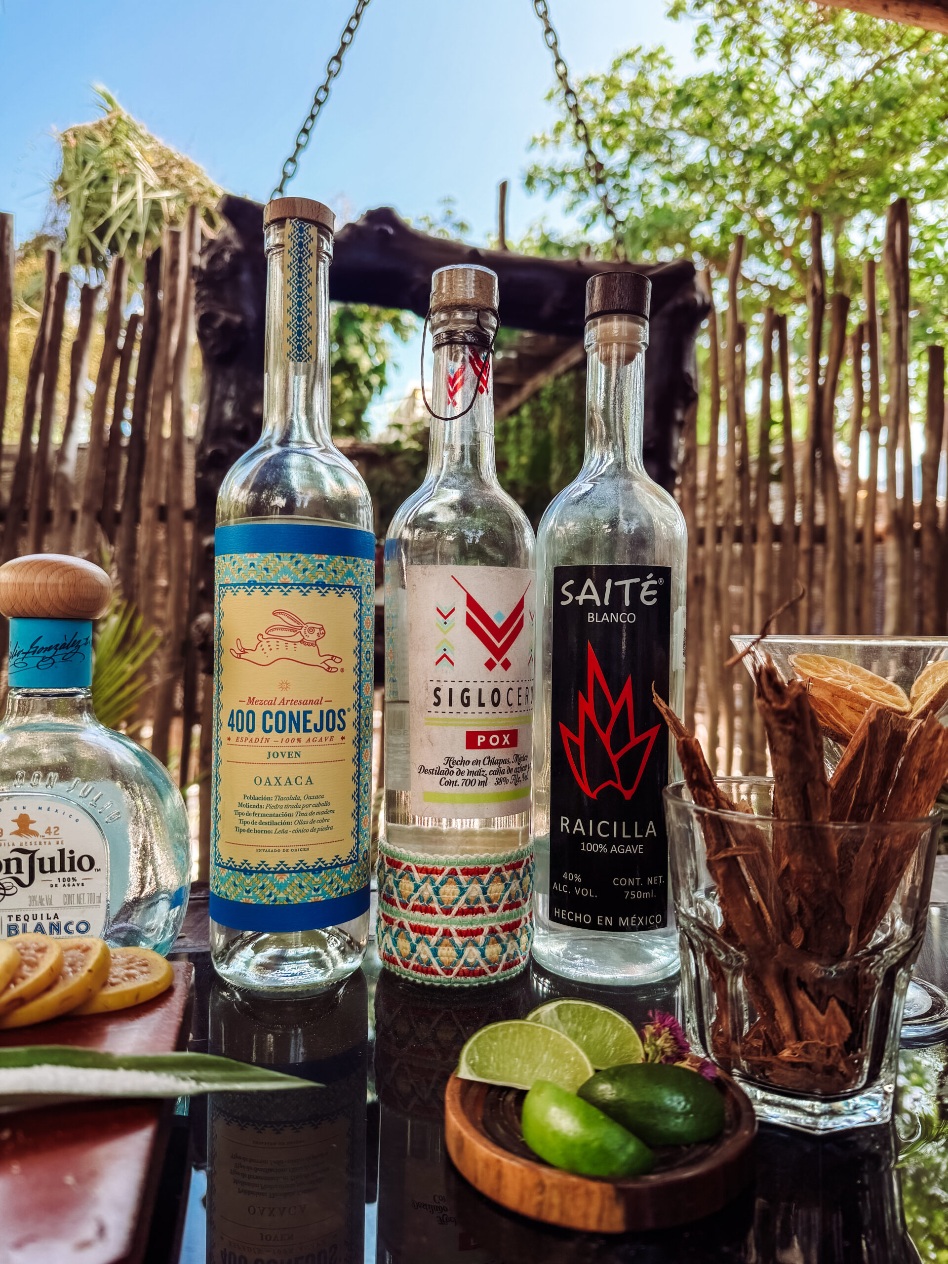 Tequila Tasting Tulum - Passport Nomads