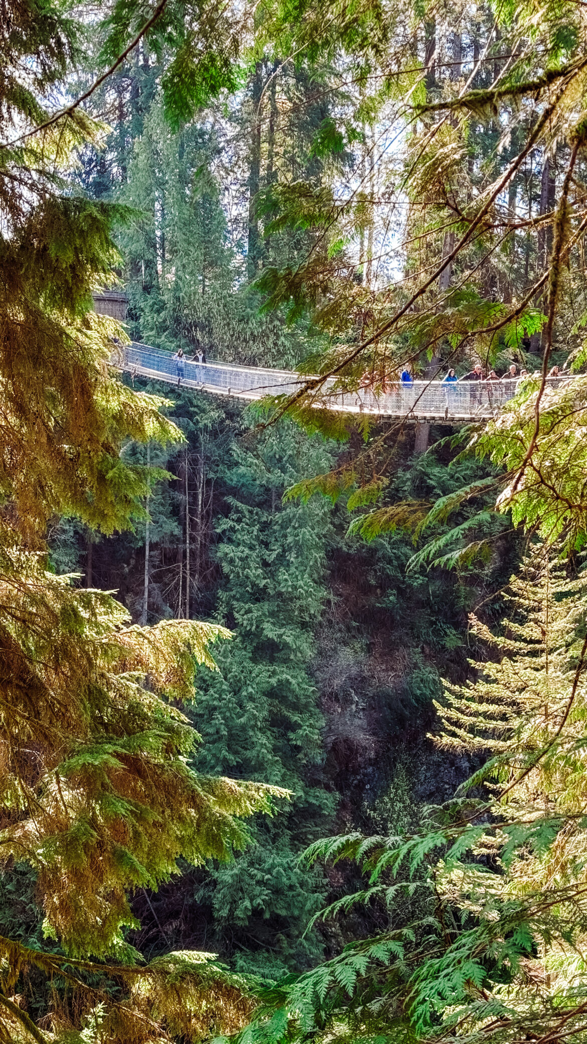 Capilano Suspension Bridge - Passport Nomads